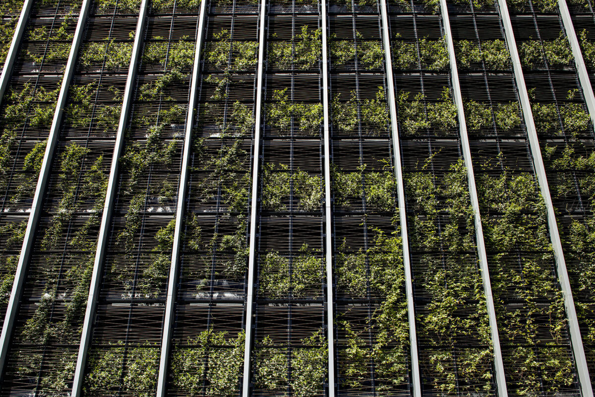 Green Architecture — Good Reasons for Greening a Building | Tensile ...