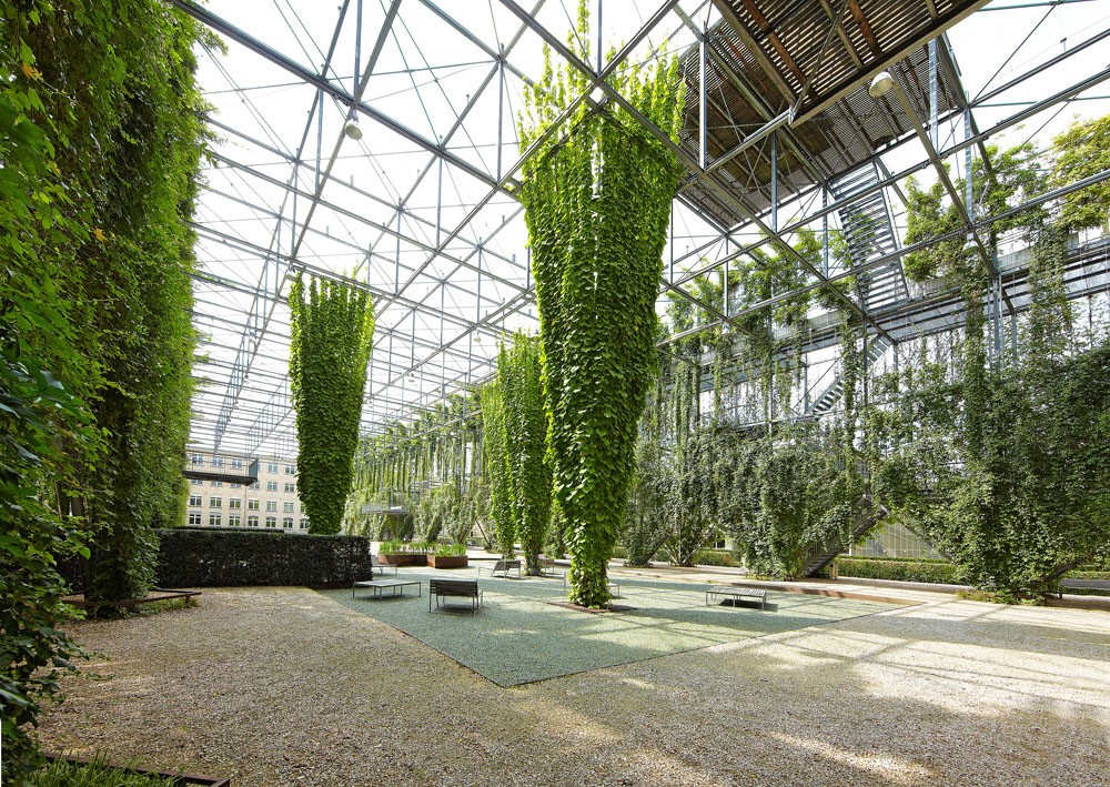 The Parks Of The Future | Tensile Design & Construct