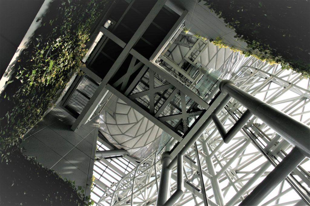 How Green Structures Can Help Us Cope with Climate Change / Tensile ...