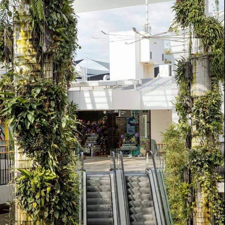 5 Ways Design and Construction Influence Green Walls | Tensile Design ...