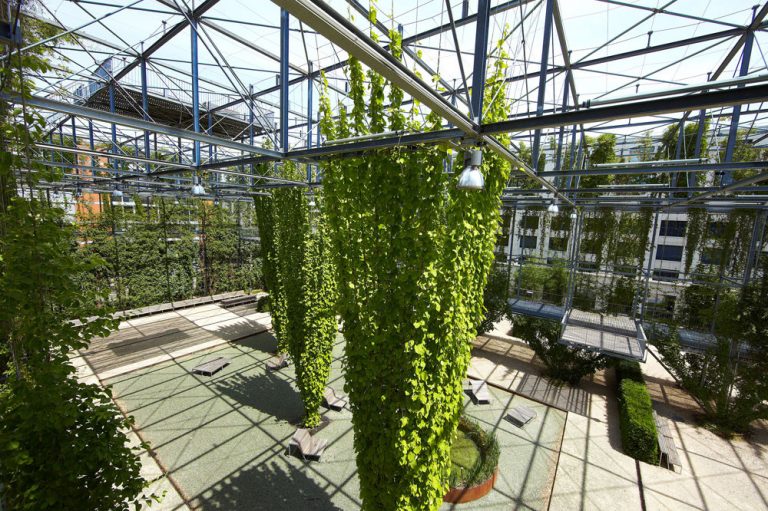Using Vertical Garden Frames as Plant Support Structures | Tensile ...
