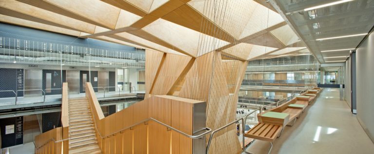 Atrium Design: Creating a Sense of Space, Light and Beauty | Tensile ...